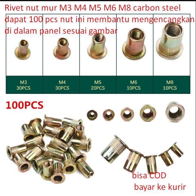 Rivet nut mur M3 M4 M5 M6 M8 carbon steel dapat 100 pcs nut ini ...
