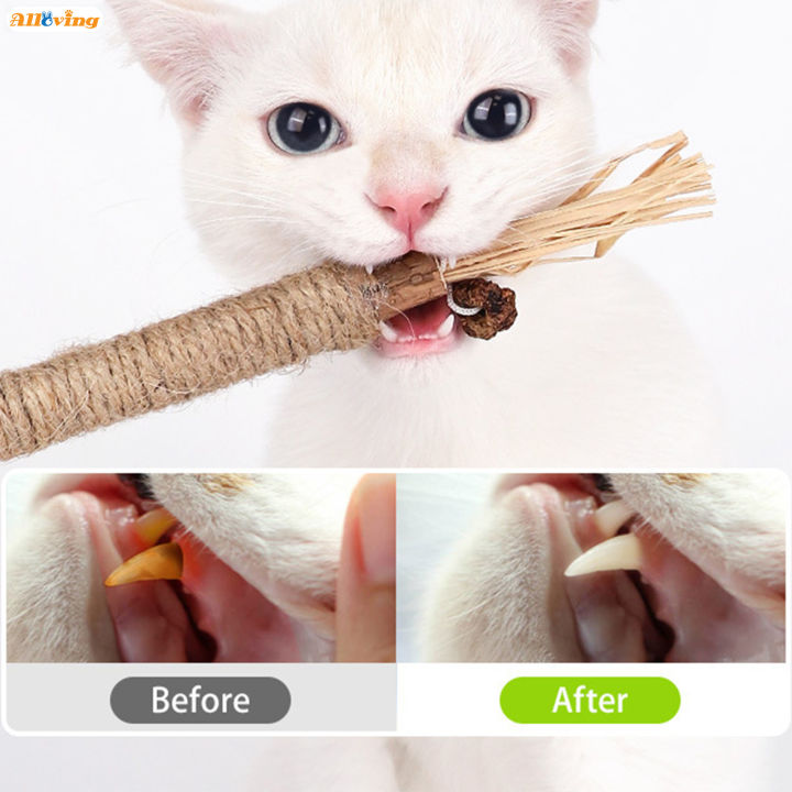 Alloving Cat Toys Silvervine Chew Stick Pet Snacks Sticks Natural Stuff ...