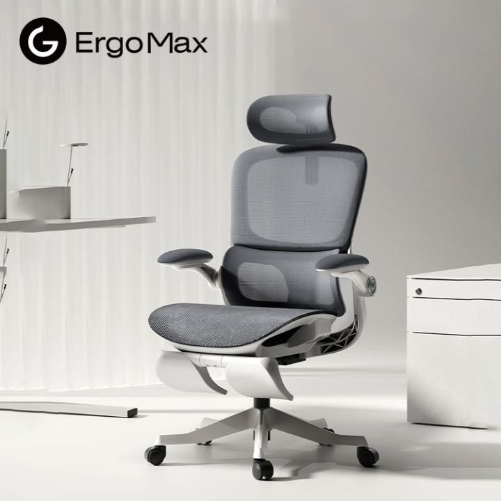 ErgoMax P2 เก้าอี้สำนักงานตามหลักสรีระศาสตร์พร้อมที่วางแขนปรับได้ 3 มิติ, รองรับเอวแบบปรับได้ ...