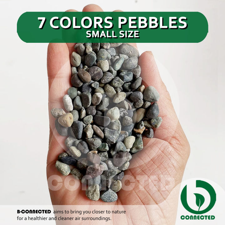 7 COLORS PEBBLES STONE ROCK BY B-CONNECTED - INTERIOR / GARDEN ...