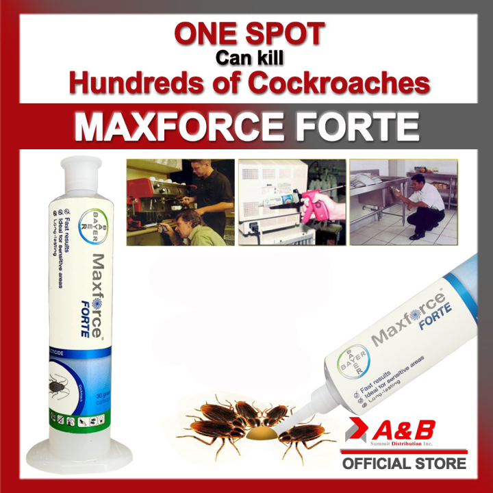 Bayer Maxforce Forte Cockroach killer Gel Bait 30 g Tube - Ready to use ...