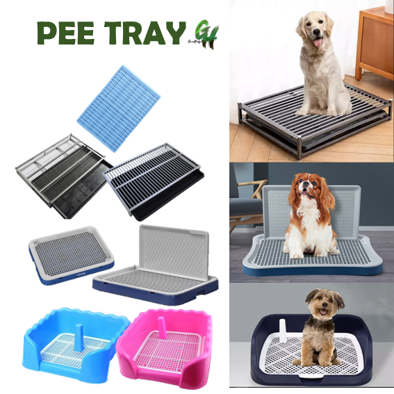 ⭐SG⭐Pet Pee Tray/ Dog Pee Tray/ Plastic Pee Pan/ Urinary Trainer Pee ...