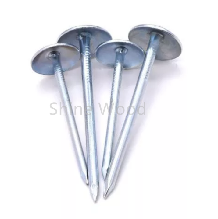 S.W UMBRELLA NAIL OR ROOFING NAIL 1KILO #347 | Lazada PH