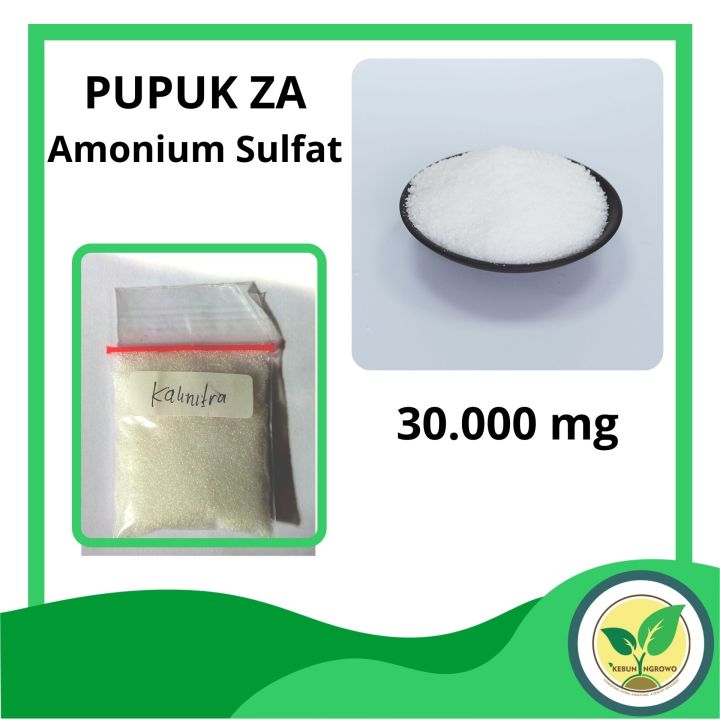 Pupuk Meroke ZA Amonium Sulfat Nutrisi Pertumbuhan Tanaman Sayur Buah ...