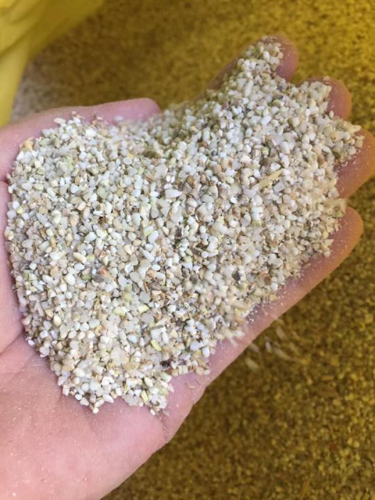 Beras Temukut / Beras Hancur / Makanan Ternakan Ayam Burung Angsa Itik ...