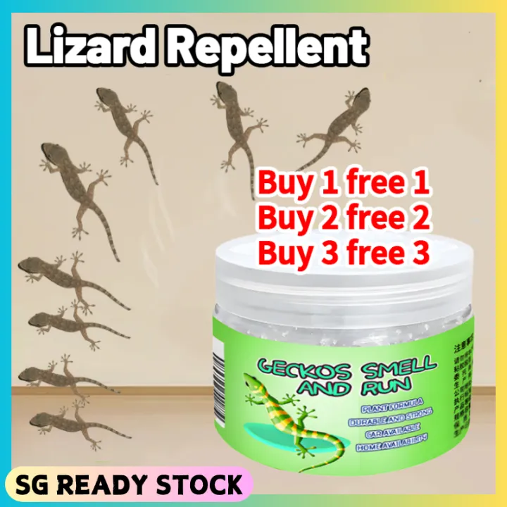 SG STOCK Lizard Repellent - Upgraded Plant Formula, Reusable with Water ...