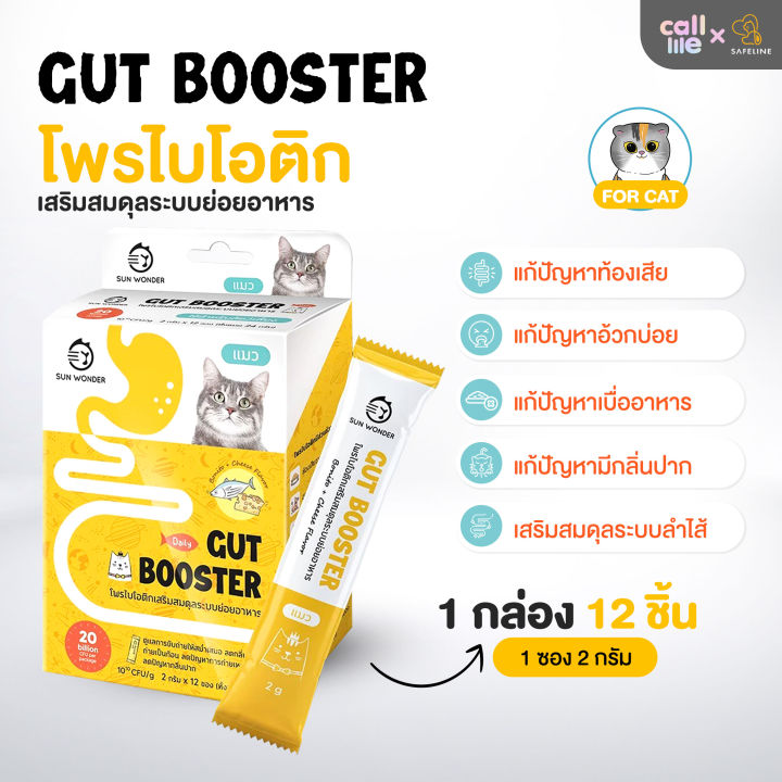 Sun Wonder Gut Booster ผงโพรไบโอติก สำหรับแมว เสริมสมดุลระบบย่อยอาหาร ...