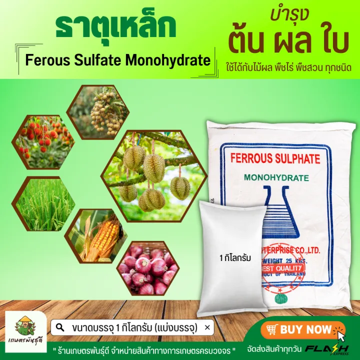 ผงจุลธาตุเหล็ก Ferous Sulfate Monohydrate FeSO4.H2O (30%Fe) บรรจุ 1 ...