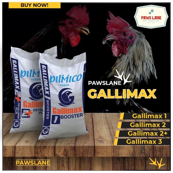 Gallimax 1 (Chick Booster) | Lazada PH