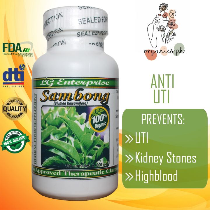 Sambong Capsules ORGANIC 500mg treats UTI and Breaks Kidney Stones by ...