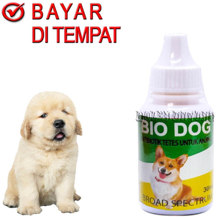 BIO DOG Obat Anjing Sakit Demam Flu Pilek Herpes Diare Distamper ...