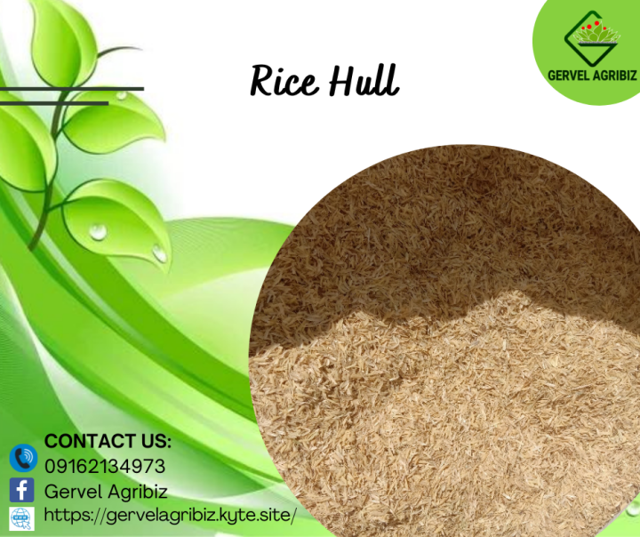 Rice Hull for soil mix, 500 grams and 1 kilogram pack, pure, organic ...