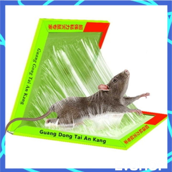 (1 PC) Sticky Rat Board Mouse & Rat Sticky Glue Trap Boards for Catcher ...