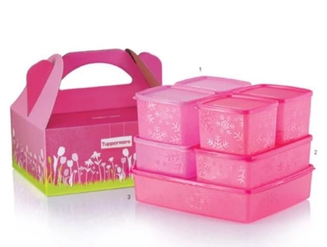 tupperware snowflake set with gift box ( fridge container ) | Lazada ...