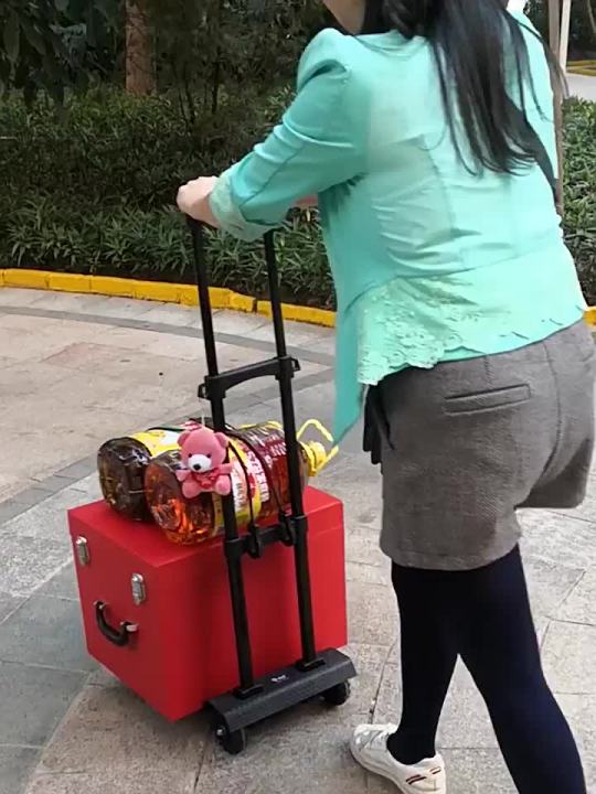 LZD Universal Wheel Small Trailer Hand Buggy Luggage Trolley Portable ...