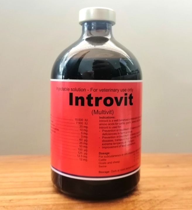 [VETKLIX] 1 container (100ml) / INTROVIT MULTIVITAMINS for GAMEFOWL ...