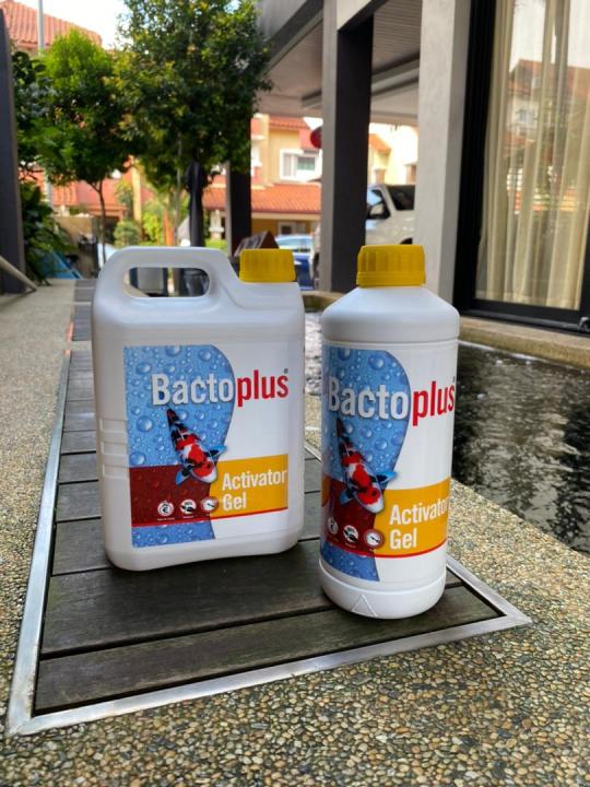 Bactoplus Activator Gel for Enhanced Pond Filter Bacteria and Algae ...