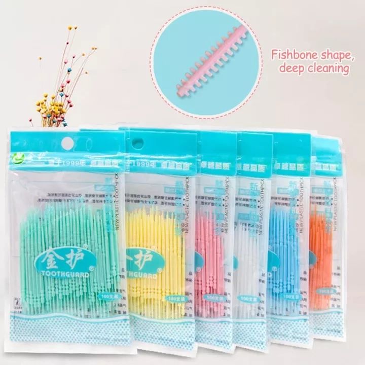 100pcs / Bag Double-Head Teeth Cleaning Toothpick Oral Care Floss Pick ...
