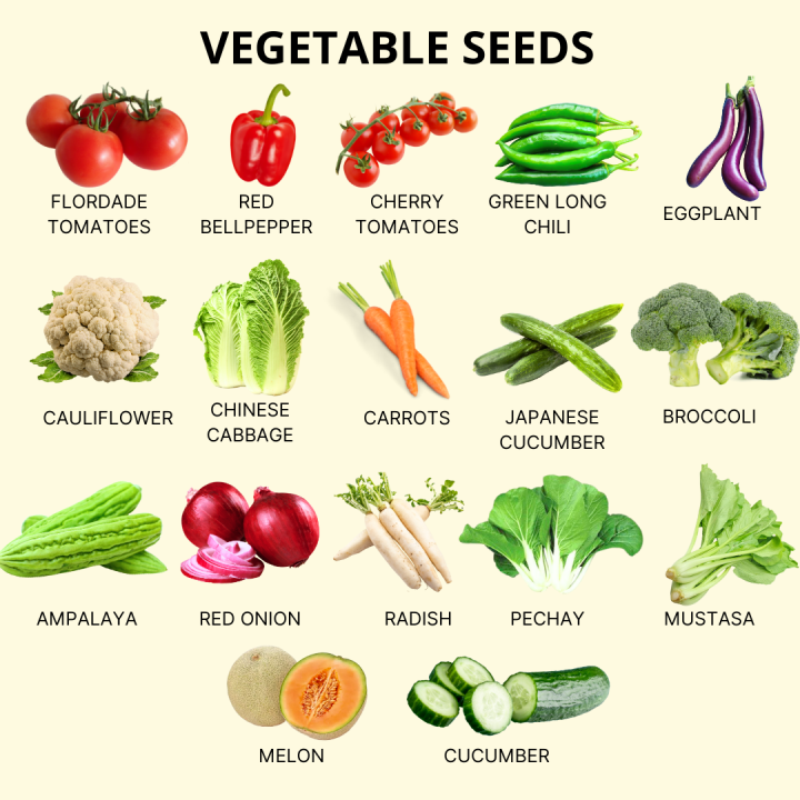 Different Varieties of Vegetable Seeds | Pelletized and Non-Pelletized ...
