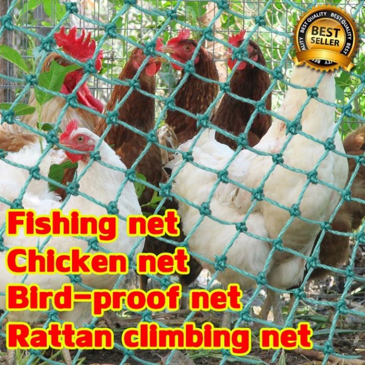 6【Free rope】50M/100M Chicken Net Fence Green Net Free Range Chicken Net ...
