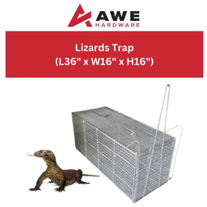 AWE Metal Lizards Trap Cage B005 36 x 16 x 16 inch Sangkar Perangkap ...