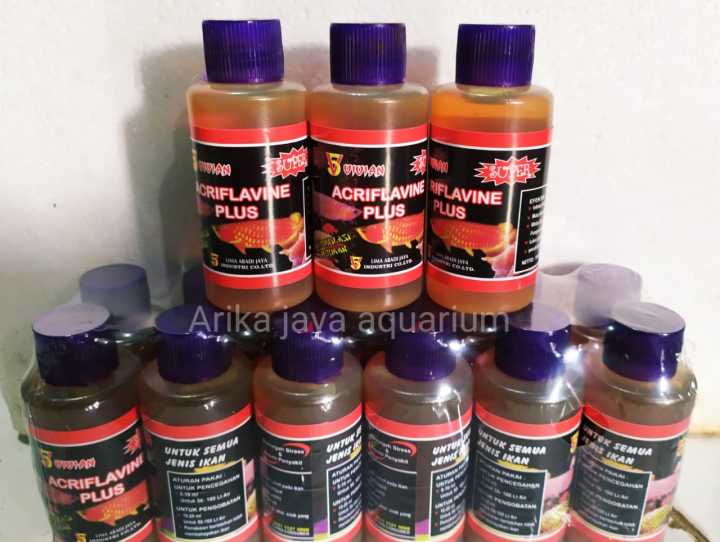 Acriflavine plus ampuh obat kuning ikan infeksi luka mata berselaput ...