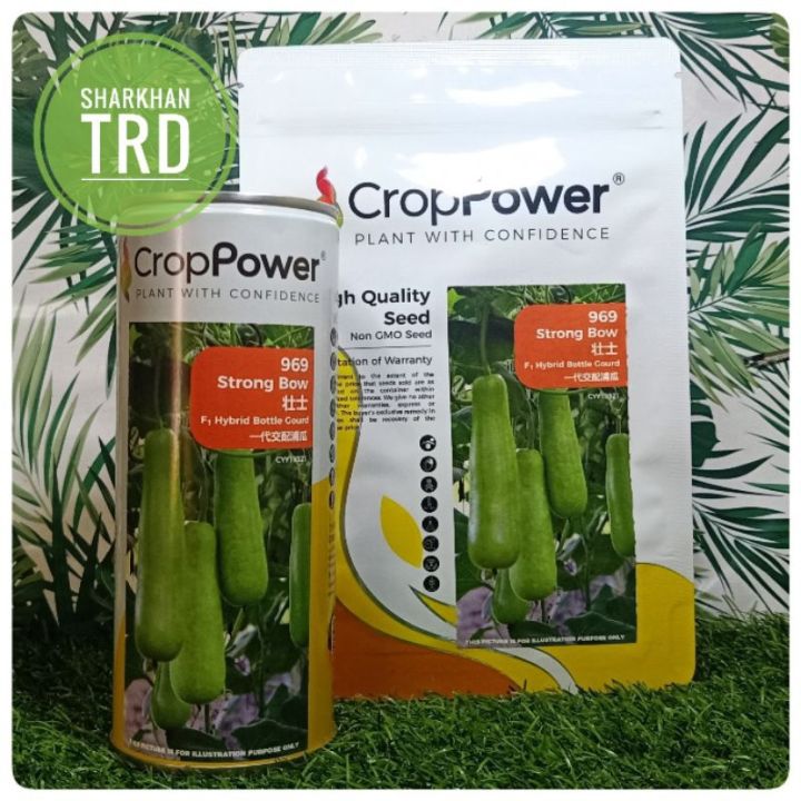 Paket 20g-100g STRONG BOW 969 Crop Power Biji Benih Labu Air F1 Hybrid ...