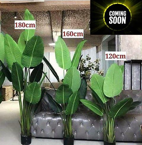 Daun Tebal 160cm Tinggi Artificial Banana Leaf Tree | Can Iron | Pokok ...