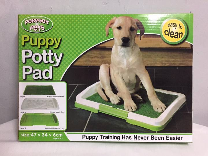 Perfect Pets Puppy Potty Pad | Lazada PH