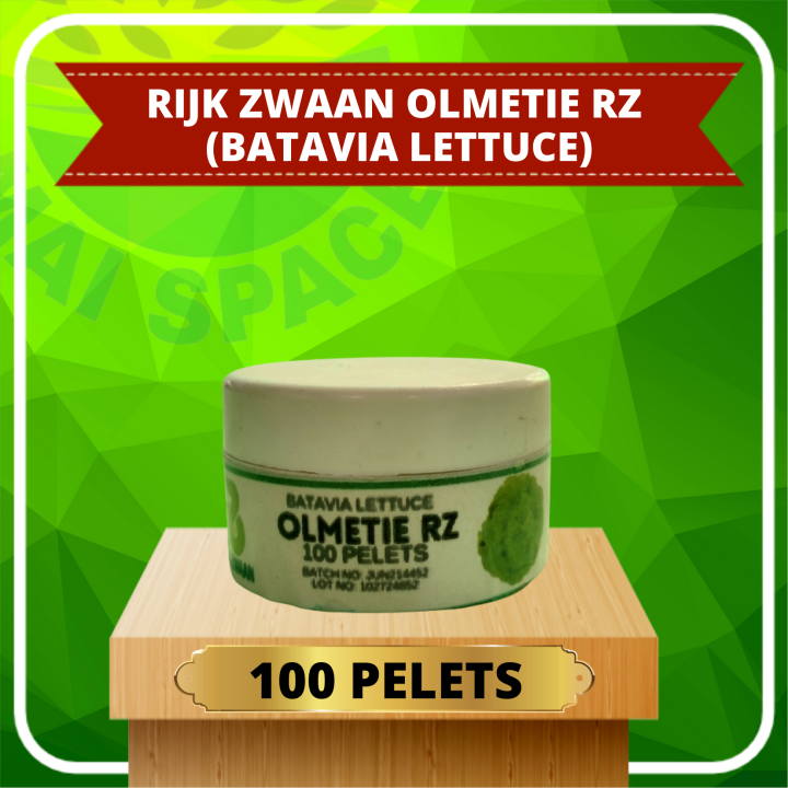 RIJK ZWAAN OLMETIE RZ (BATAVIA LETTUCE) 100 PERCENT GERMINATION RATE ...