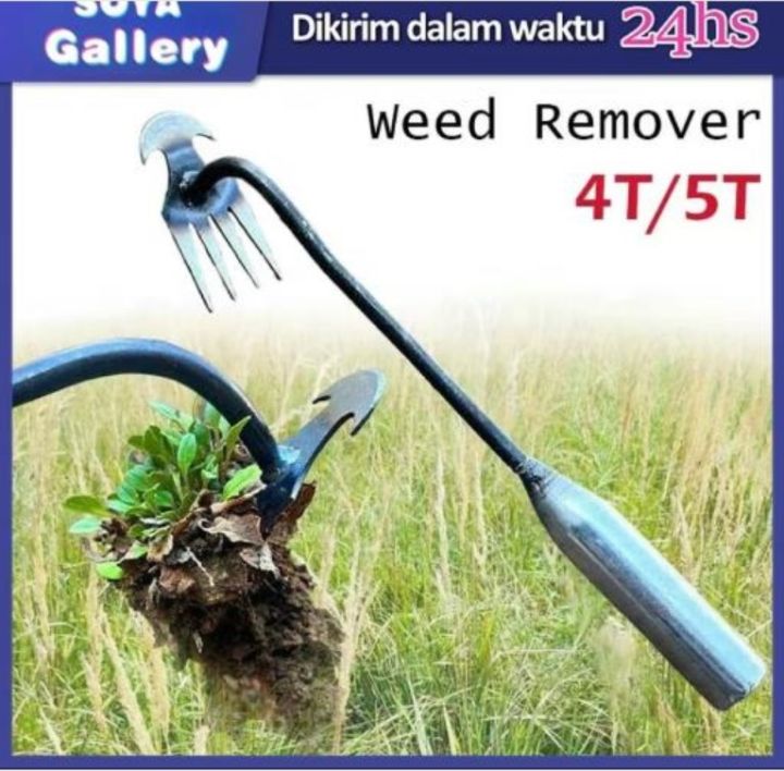 Penyiangan Alat Multiguna - Alat Mencabut Rumput Dengan 4 Gigi untuk ...