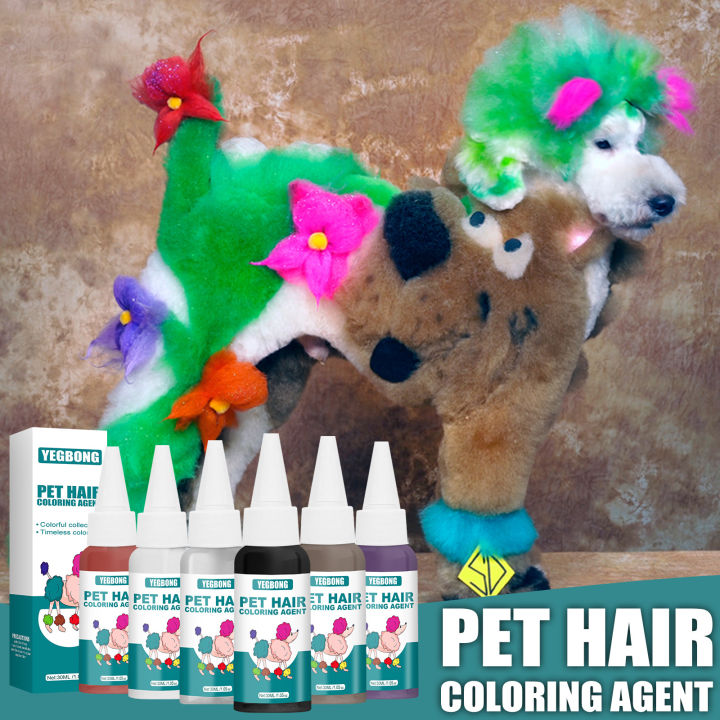 Pet Dyeing Cream Pet Eyebrow Cream Pet-Specific Hair Dye Does Not Hurt ...
