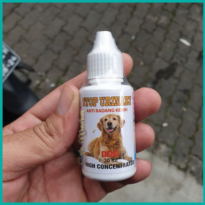 Stop Urinary Dog Obat Anjing Susah Kencing Infeksi Saluran Kemih 30 ml ...