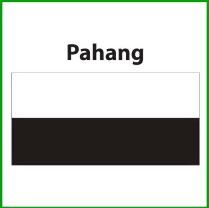 Pahang Flag 3x6ft, Bendera Pahang 3x6ft, Polymesh | Lazada