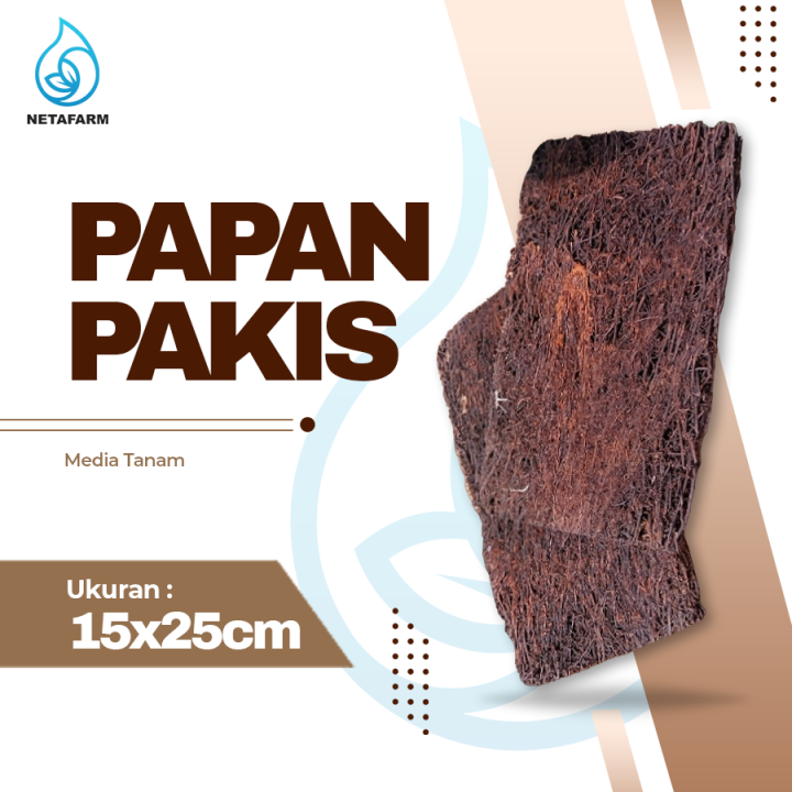 Media Tanam Akar Pakis Papan Lempeng Kotak Ukuran 15 x 25 cm | Lazada Indonesia