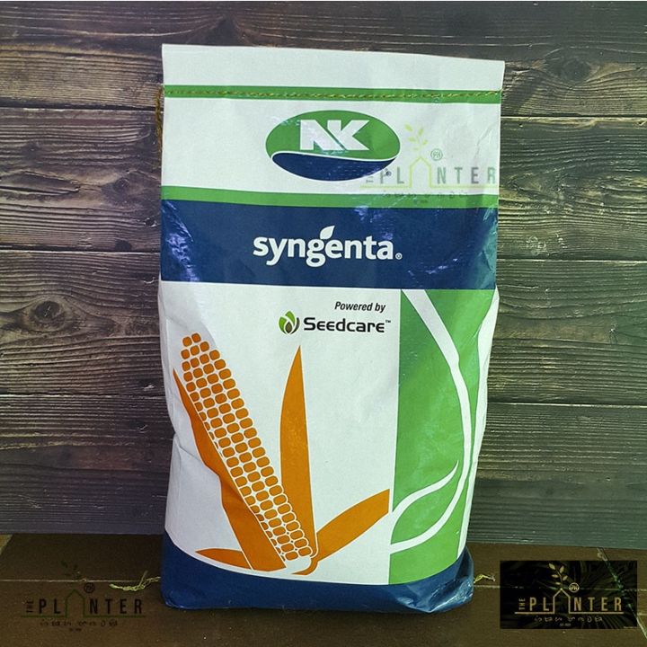 NK8840 NK6130 SYNGENTA 10kilos =1 bag (35,000 kernels) hybrid corn ...