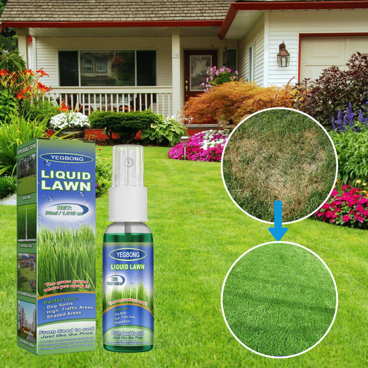 Household Seeding System Grass Spray Green Paint Lawn Food Liquid ...
