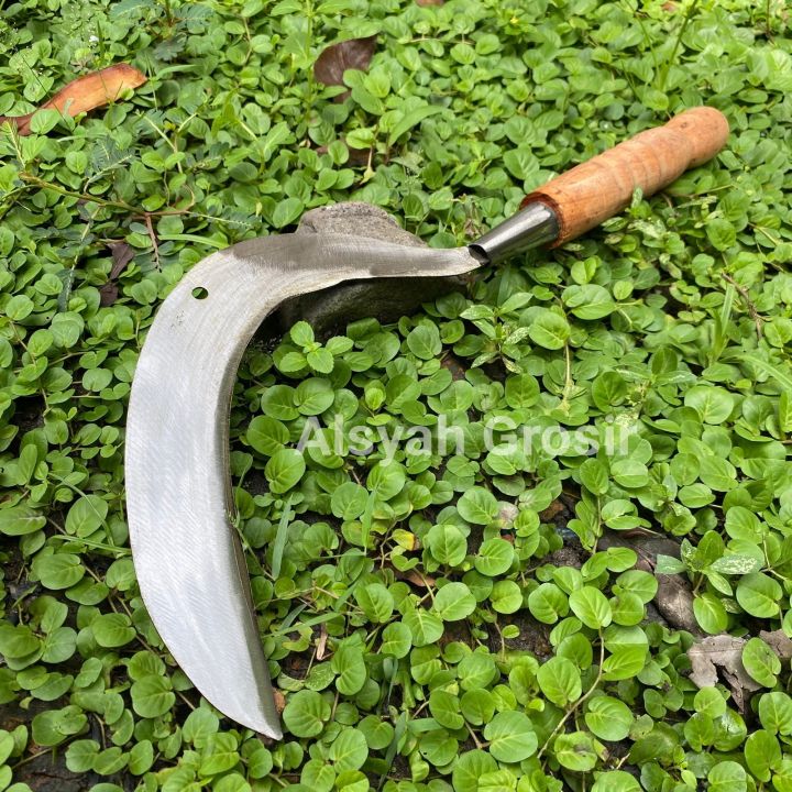 Arit Sabit Rumput Baja Putih Asli - Sabit Rumput Padi Madura Melengkung ...