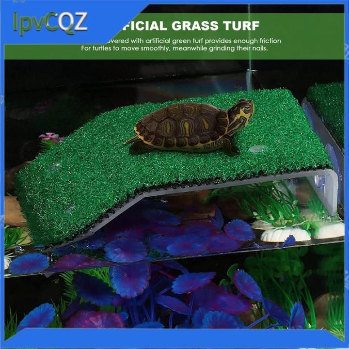 Lawn Turtle Basking Platform Turtle Resting Basking Platform ...