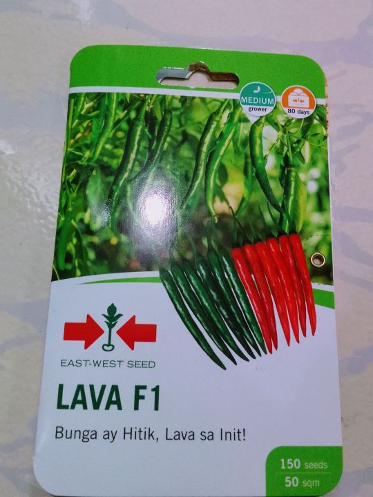 LAVA F1 HYBRID HOR PEPPER Seeds (150 SEEDS) BY EAST WEST SEEDS | Lazada PH