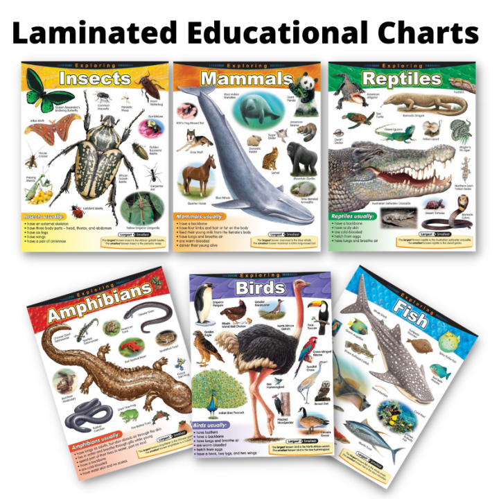 Laminated Amphibians, Birds, Fish, Insects, Mammals, Reptiles Charts ...