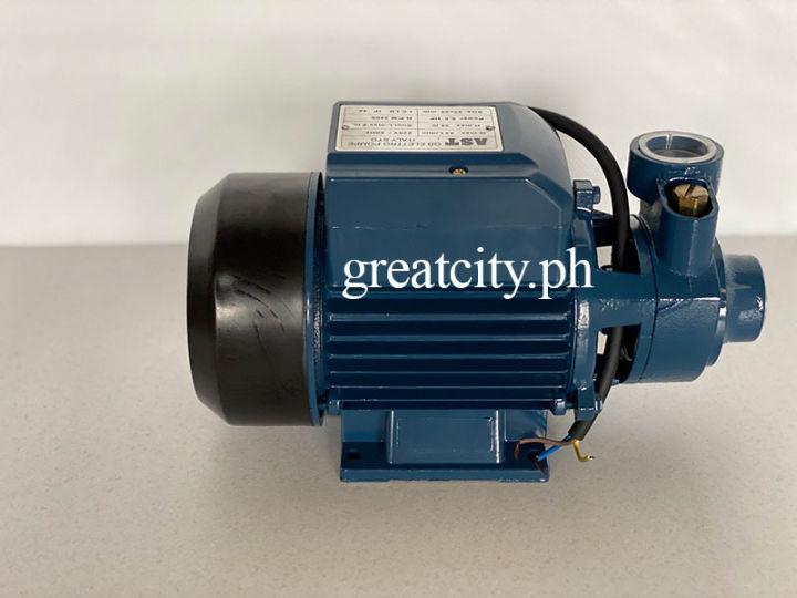 AST 1/2 Hp Water Pump | Lazada PH