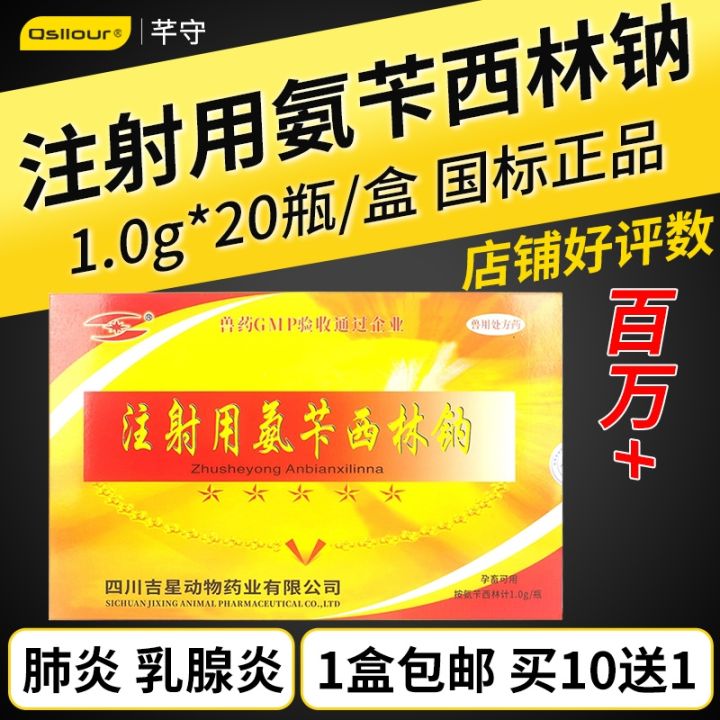 Veterinary medicine Ampicillin sodium powder injection for pigs cattle ...