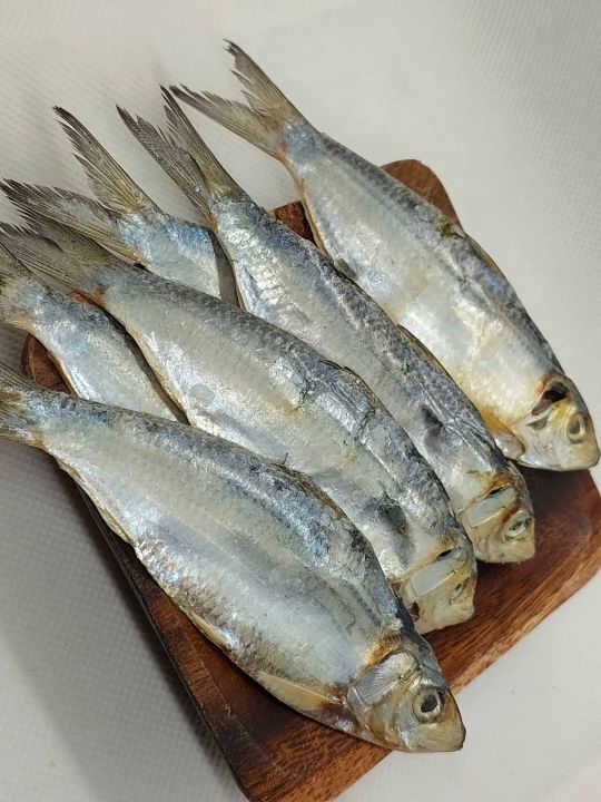 TUYO SALINAS | DRIED FISH | 100 Grams | VACUUM SEALED | Lazada PH