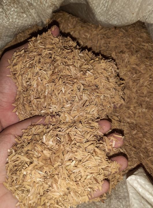 15 pesos pure and organic rice hull / rice husk / ipa ng palay ...