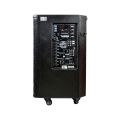 Platinum Karaoke PK-10 Built-in Karaoke Trolley Speaker with 21,000 ...