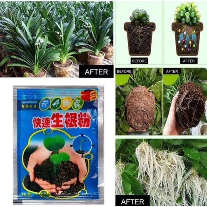 COD Rapid Growth Root Medicinal Hormone Regulators Garden Rooting ...