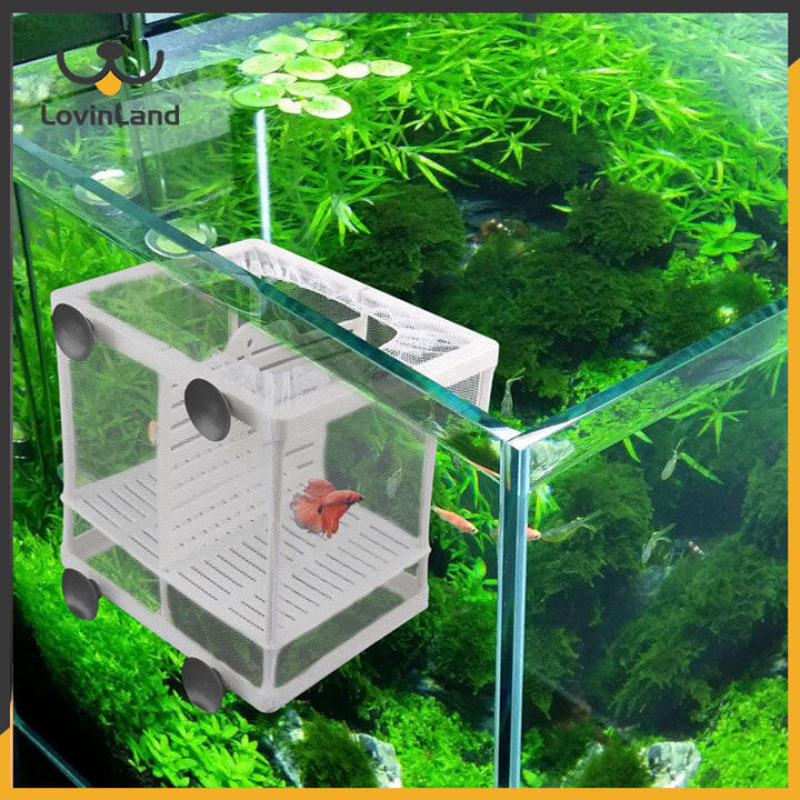Lovinland Aquarium Hatchery Net Fish Breeder Isolation Box Fry Hatching ...