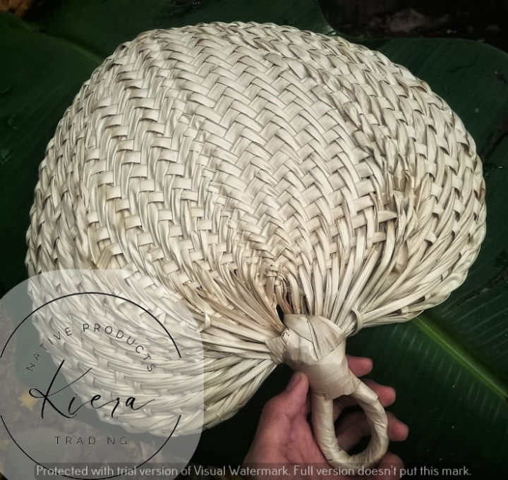 Native Fan Large Abaniko Anahaw Pamaypay Bicol | Lazada PH