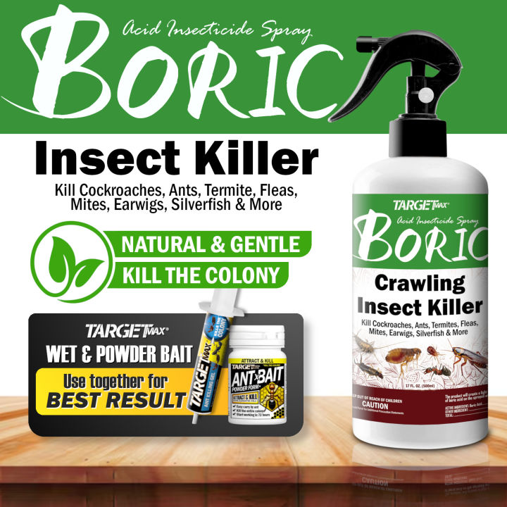 TARGET MAX Insect Killer Spray For Cockroach | Ant | Termite | Fleas ...